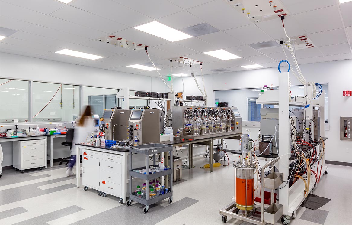 Debut Biotech Debut Biotech