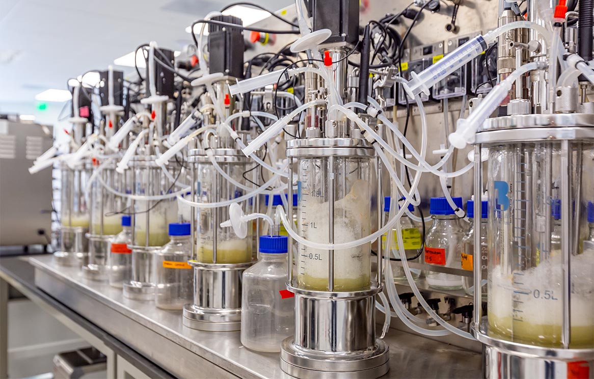 Debut Biotech Debut Biotech